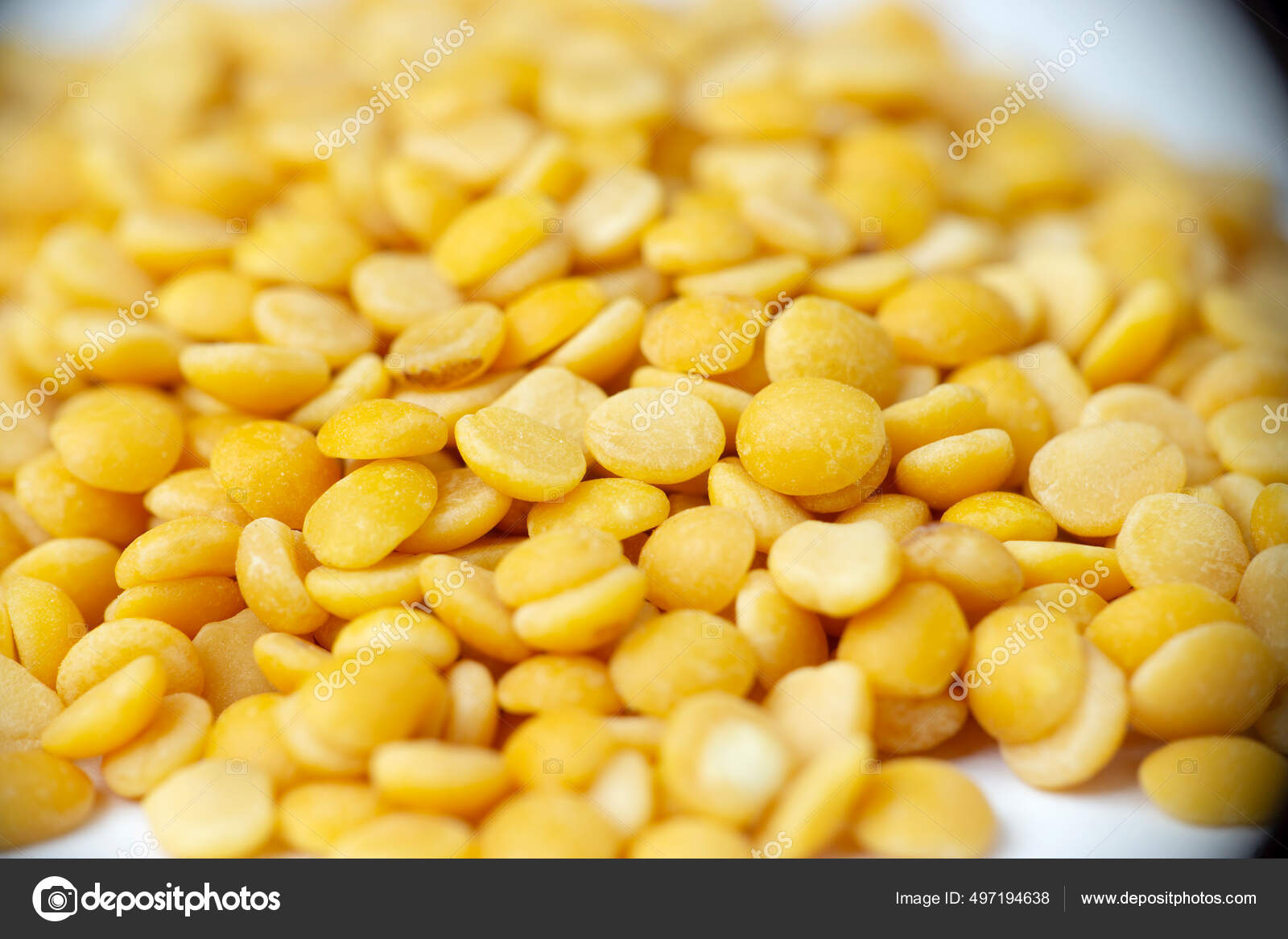 Pigeon Pea Cajanus Cajan Satara Maharashtra India Stock Photo by ...