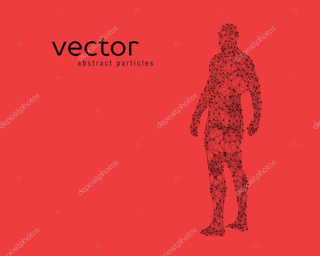 Vector illustration of human body Stock Vector Image by ©julvil11 ...