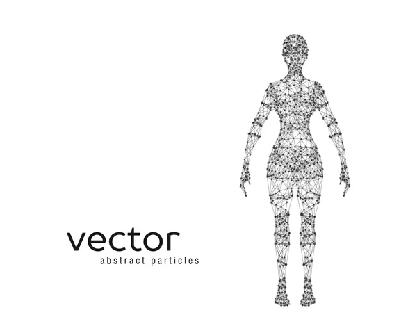 Vector illustration of female body Stock Vector Image by ©julvil11 ...