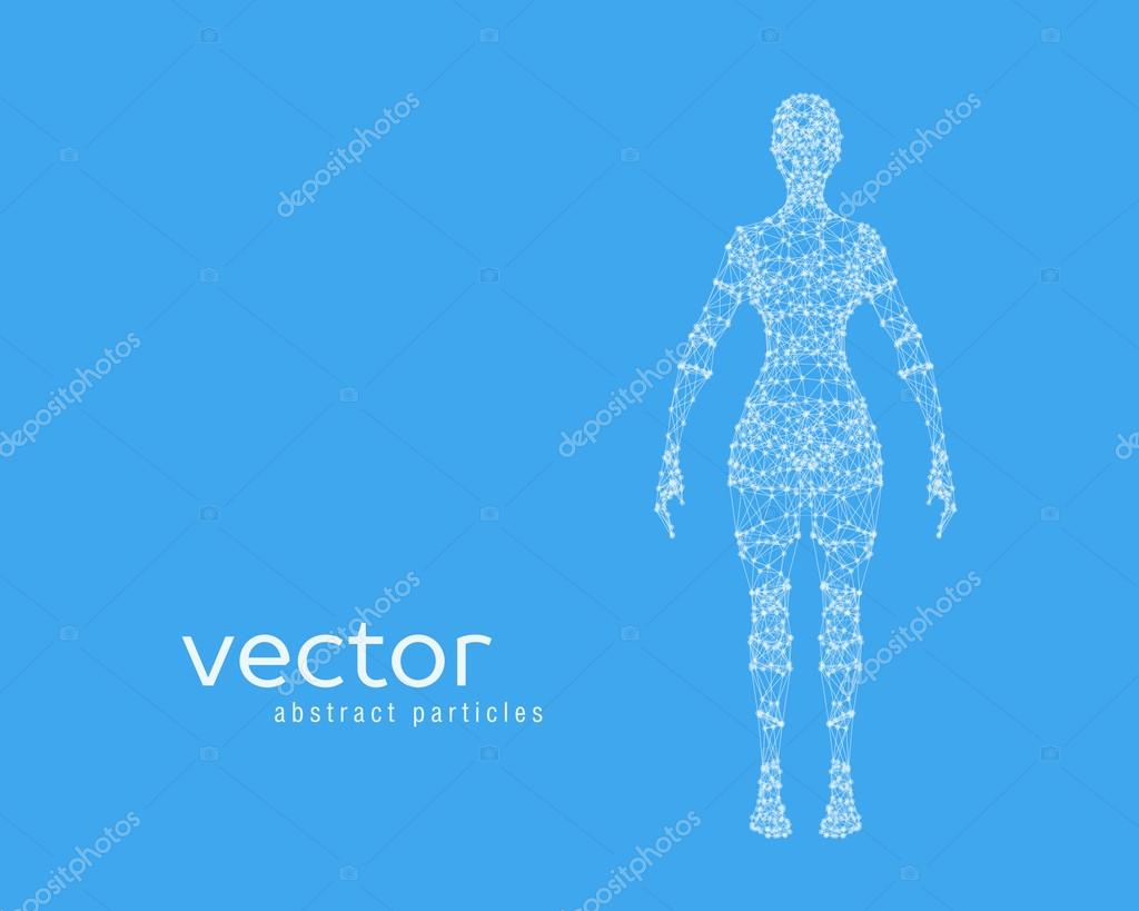 Vector illustration of female body Stock Vector Image by ©julvil11 ...