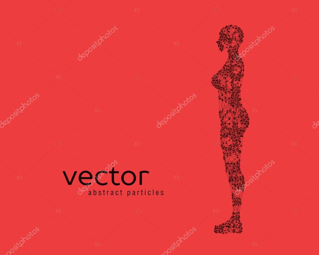 Vector illustration of female body Stock Vector Image by ©julvil11 ...
