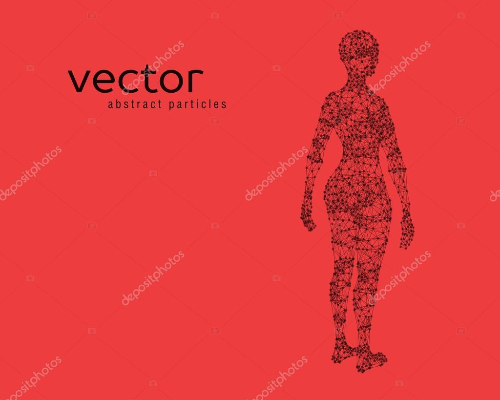 Vector illustration of female body Stock Vector Image by ©julvil11 ...