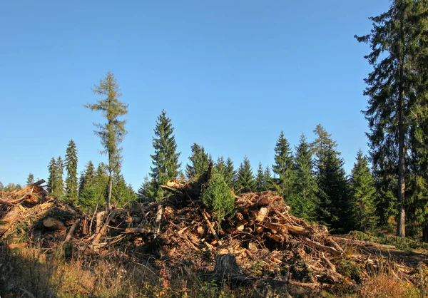 Bc logging block Stock Photos, Royalty Free Bc logging block Images ...