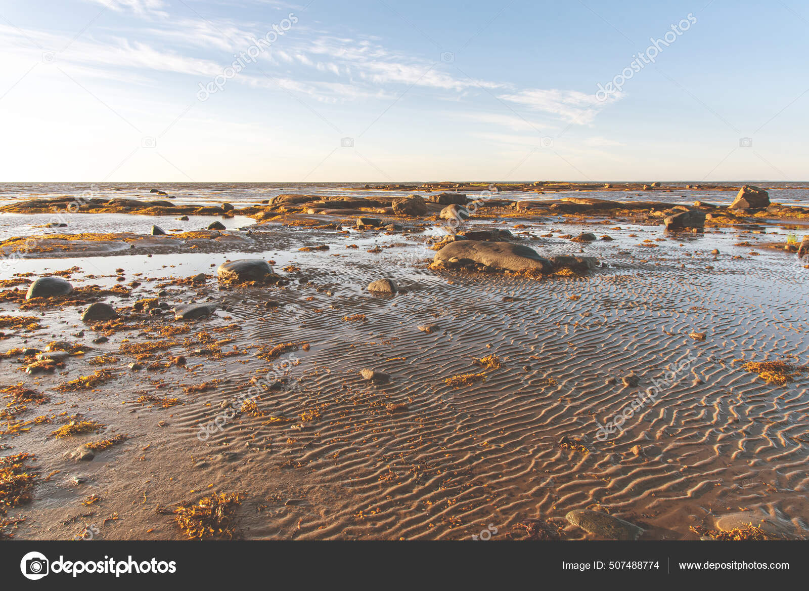 Beautiful Sunrise Shore White Sea Low Tide Rocks Algae Sunny Stock ...