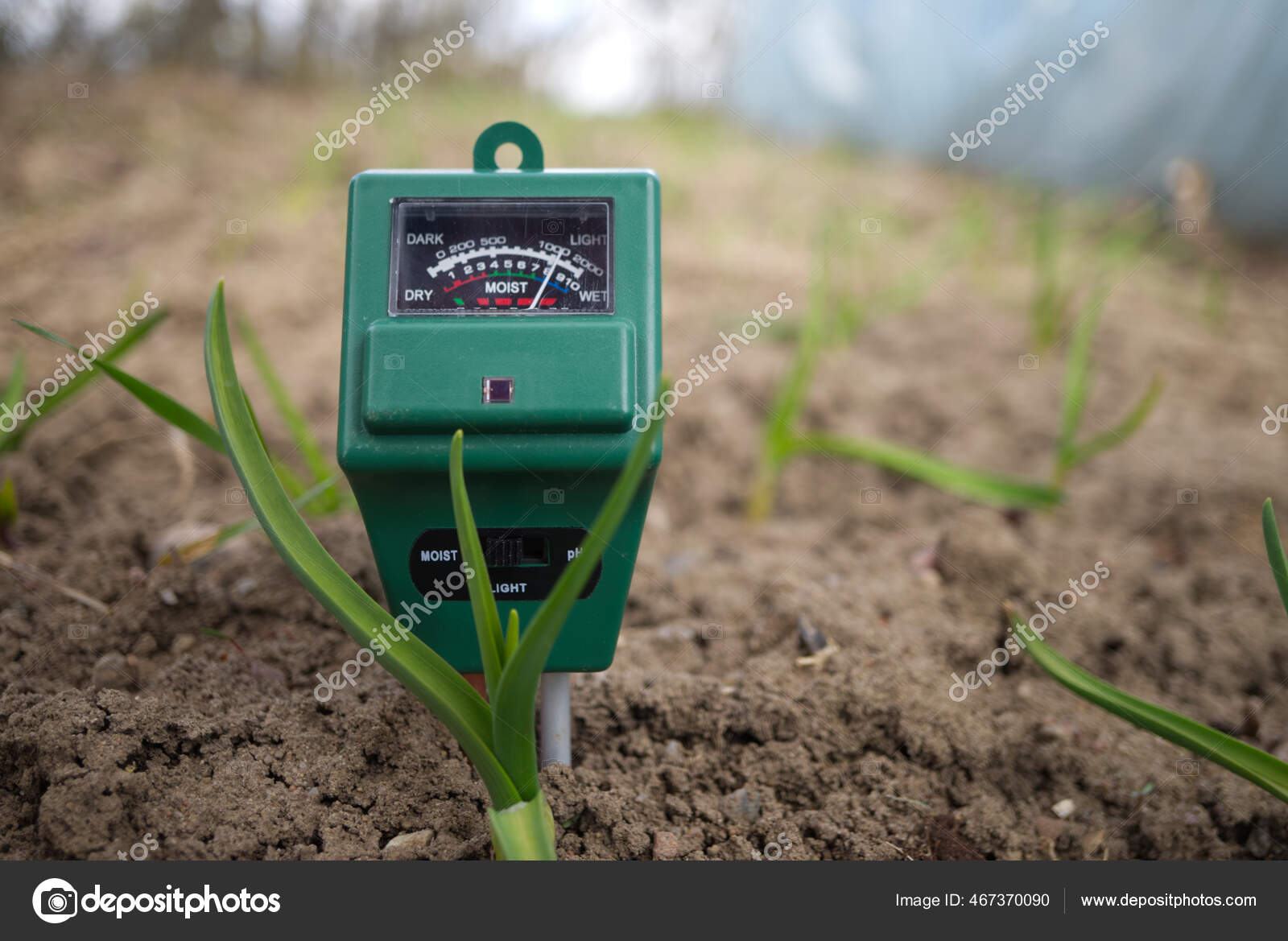 Agricultural Meter Measure Moisture Content Soil Field Fresh Green ...