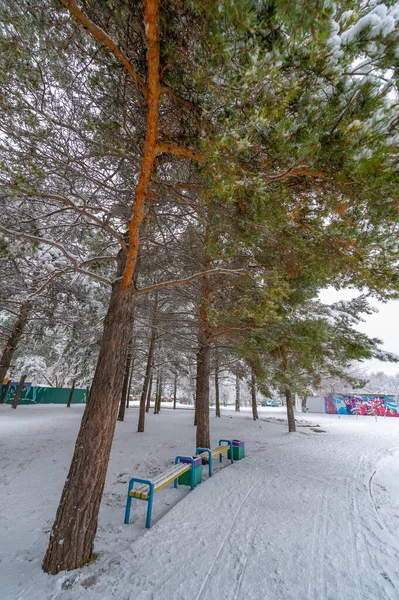 First snow. With each falling scale, a unique spark of interest falls ...