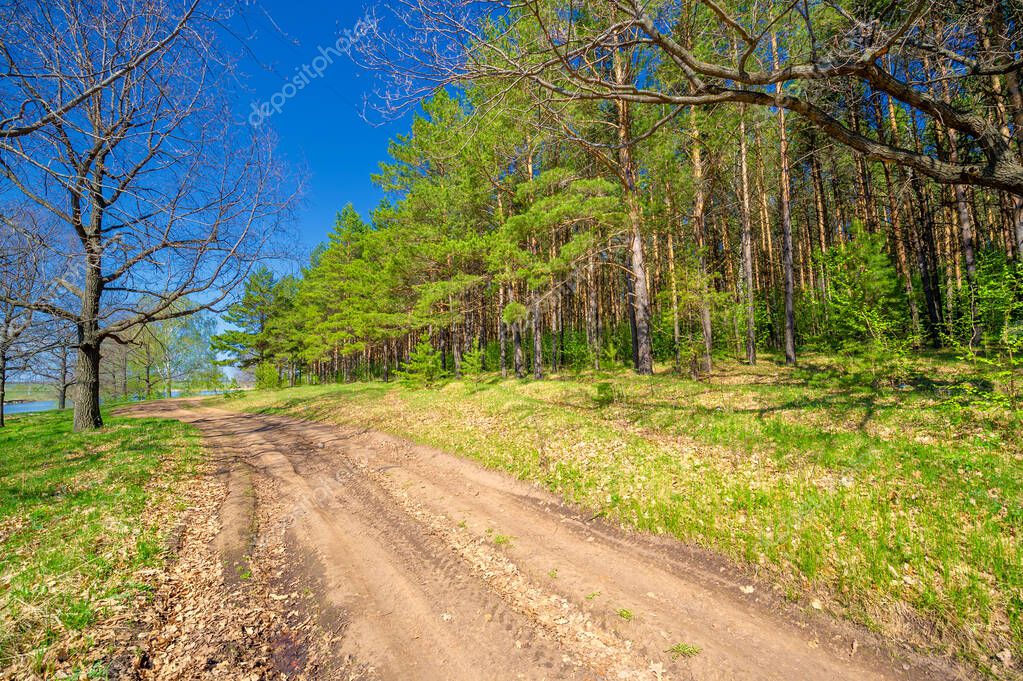 Fotos del estanque, fuente, bosque de abedul. Un lago es un área llena ...