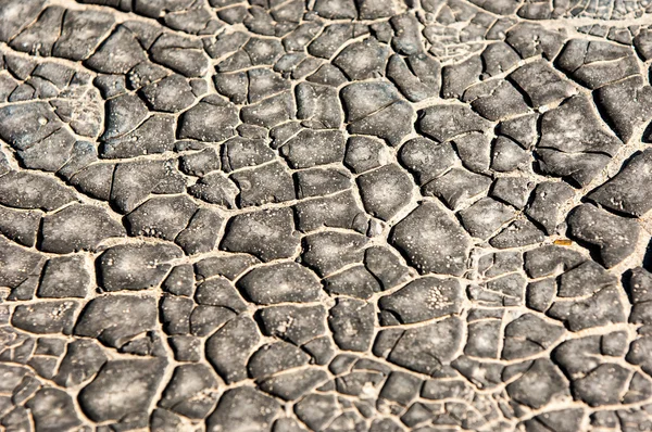 Tar Petroleum Texture Old Tar — Stock Photo © ekina1 #72186427