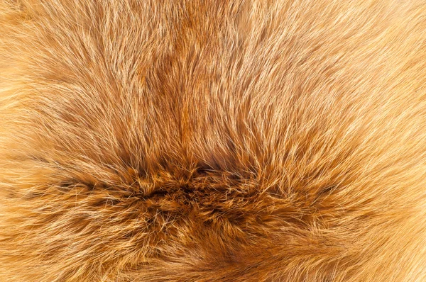 Textures red fox fur — Stock Photo © ekina1 #73732197