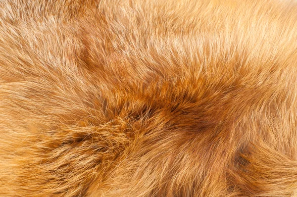 Textures red fox fur — Stock Photo © ekina1 #73732197