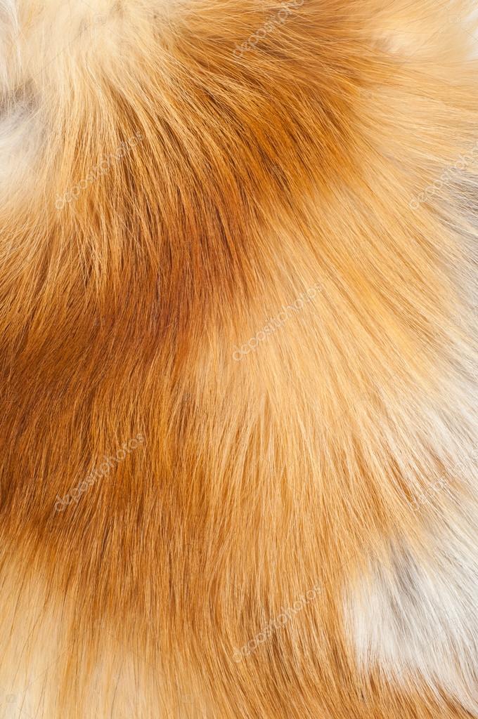 Textures red fox fur Stock Photo by ©ekina1 73732123