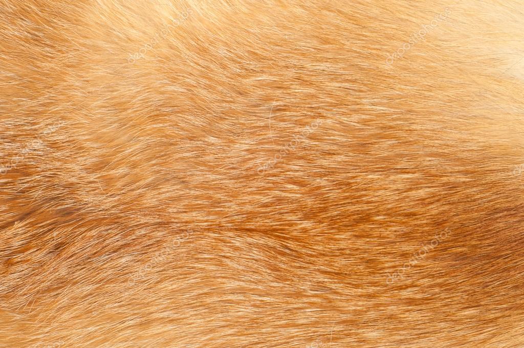 Textures red fox fur — Stock Photo © ekina1 #73732197