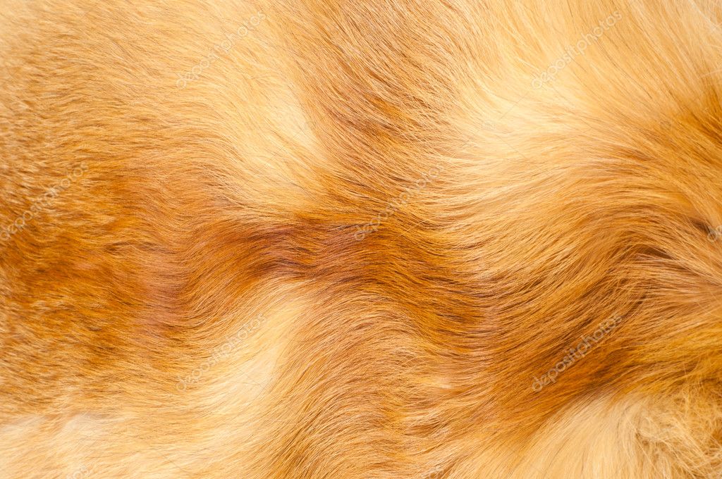 Textures Red Fox Fur Red Fox Shaggy Fur Texture Cloth Stock Photo by ...