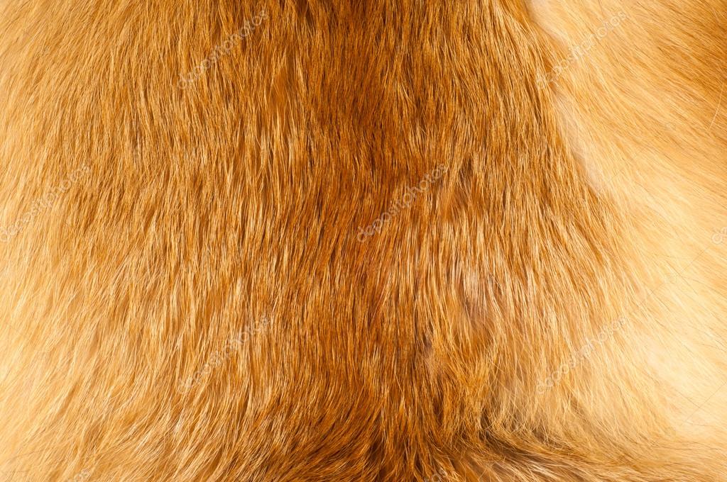 Fox Fur Texture Fur Fashion "Chionáti Atelier" Real Fox Fur Coats