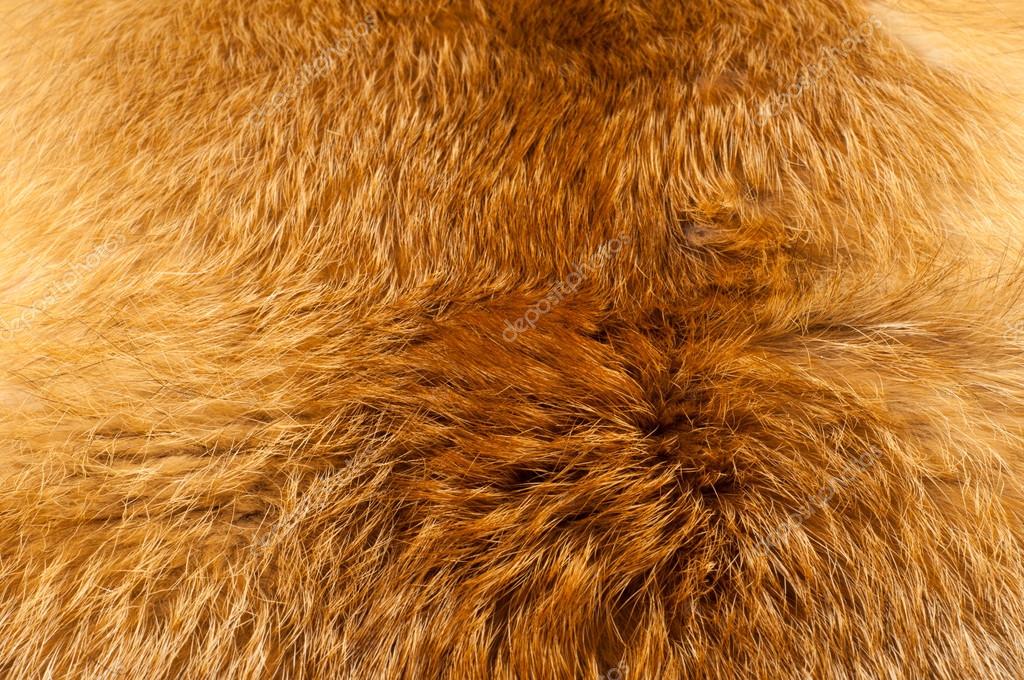 Textures red fox fur Stock Photo by ©ekina1 73732645
