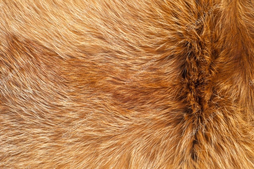 Fox Fur Texture