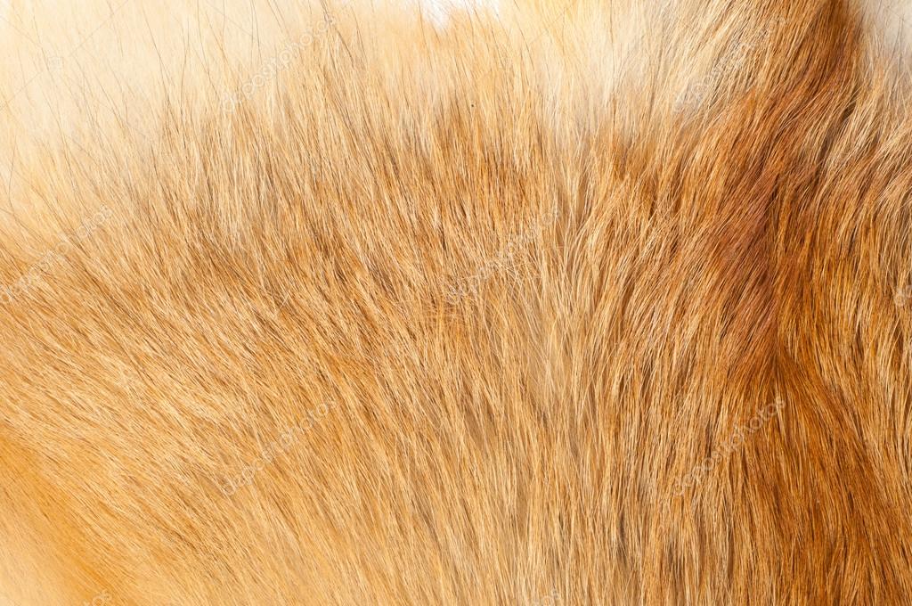 Textures red fox fur — Stock Photo © ekina1 #73733295