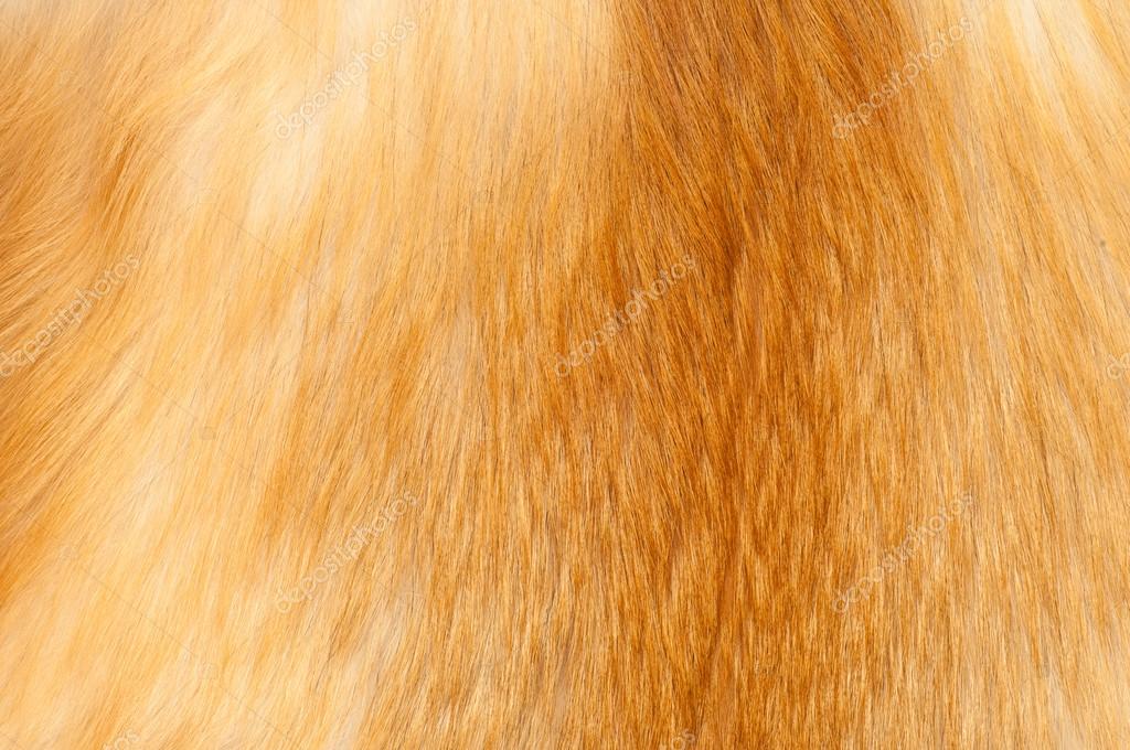 Textures red fox fur Stock Photo by ©ekina1 73733427