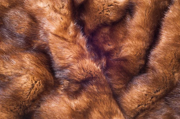 Dead animal skins Stock Photos, Royalty Free Dead animal skins Images ...