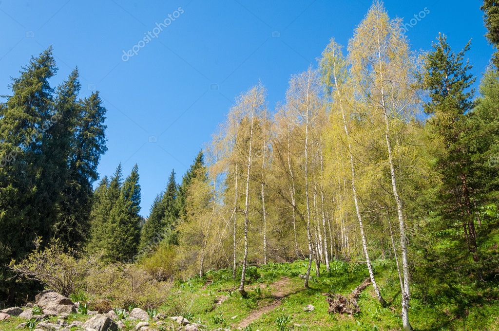 Mountain Park Mountains Almaty Park First President Kazakhstan — Stock ...
