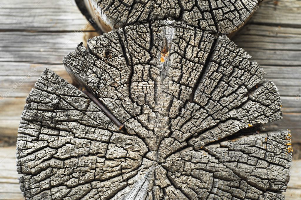 Texture Old Wood Structure — Stock Photo © ekina1 #80773250