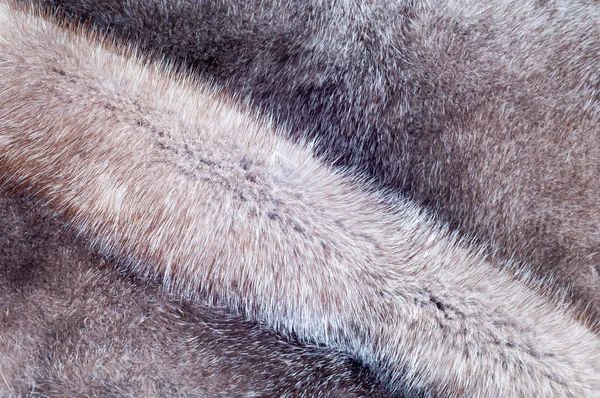 Mink fur texture - Stock Image - Everypixel