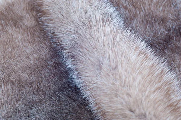 Mink fur texture - Stock Image - Everypixel