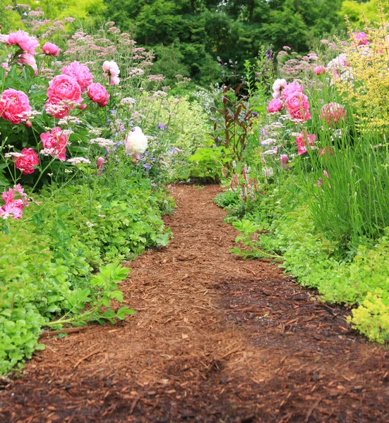 English cottage garden ⬇ Stock Photo, Image by © Hannamariah #11105360