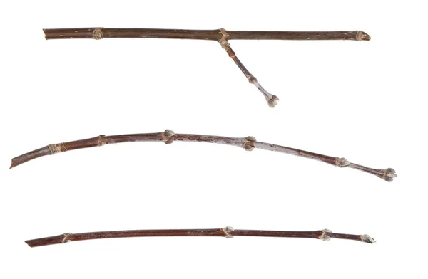 Wooden staff Stock Photos, Royalty Free Wooden staff Images | Depositphotos