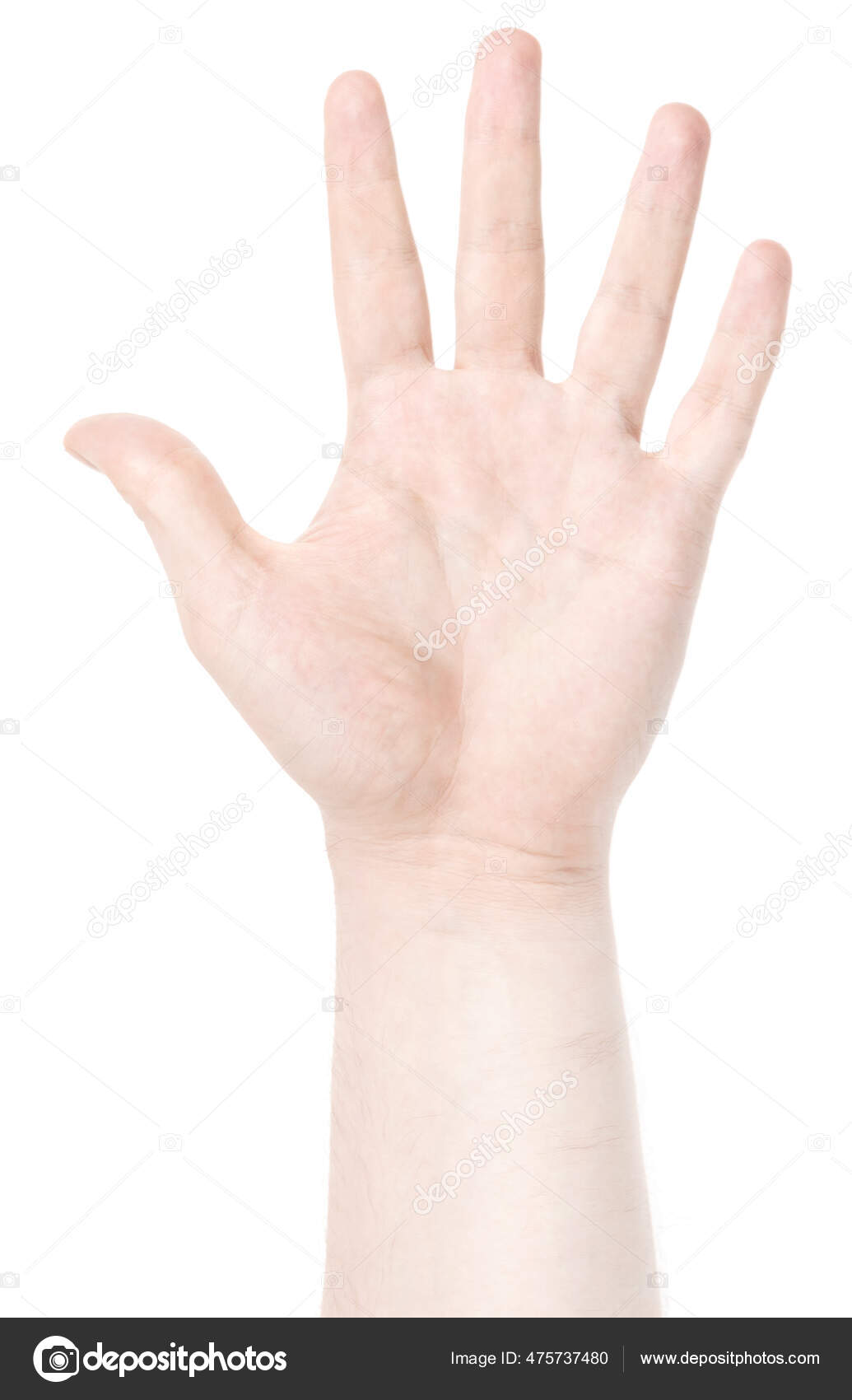 Mužské Bělošské Ruce Izolovaly Bílé Pozadí Ukazující Různá Gesta Prstů ...