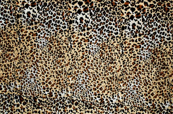 Leopard furs texture Stock Photos, Royalty Free Leopard furs texture ...