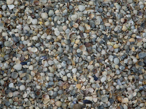 Pebble Stock Photos, Royalty Free Pebble Images | Depositphotos