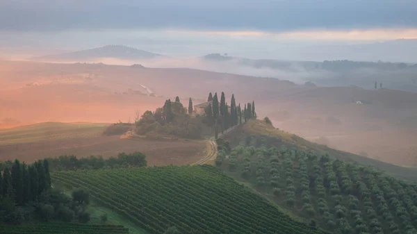 Tuscan Stock Photos, Royalty Free Tuscan Images | Depositphotos