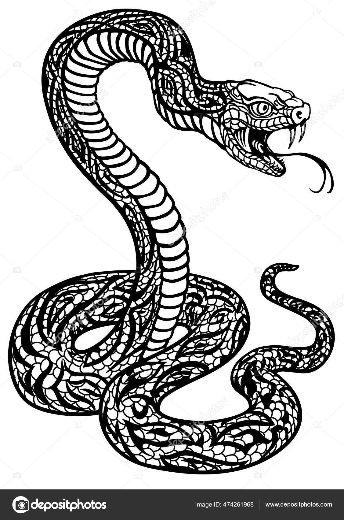 How To Draw A Vicious Snake