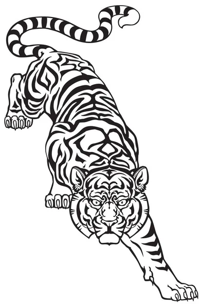 Climbing Tiger Drawing
