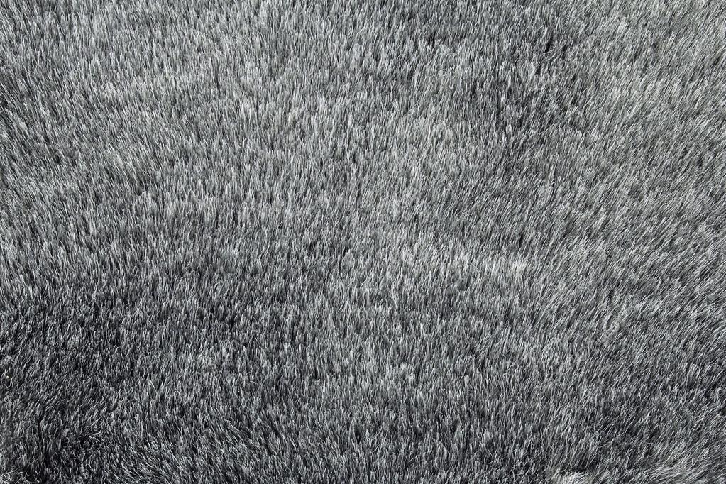 Grey fur background or texture — Stock Photo © chrupka #99123008