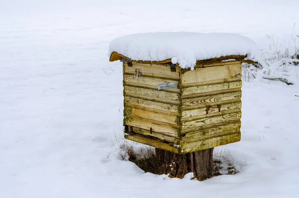 Winter bees Stock Photos, Royalty Free Winter bees Images | Depositphotos
