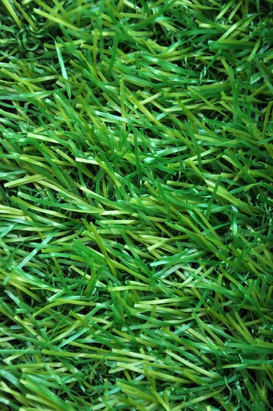 Turf Stock Photos, Royalty Free Turf Images | Depositphotos