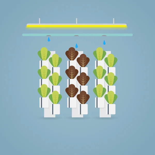 Hydroponic Vector Images, Royalty-free Hydroponic Vectors | Depositphotos®