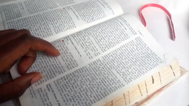 113 Bible flipping pages Videos, Royalty-free Stock Bible flipping ...