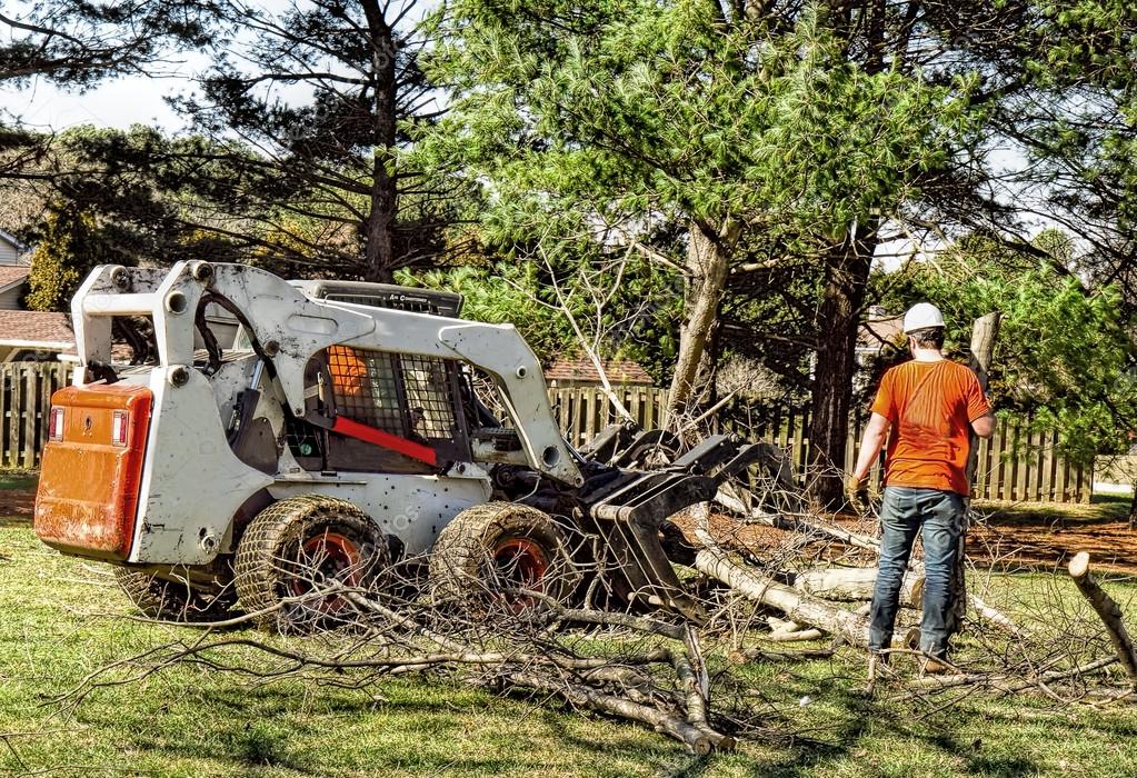Man assisting Dozer while removing Heavy amounts of limbs and branches ...