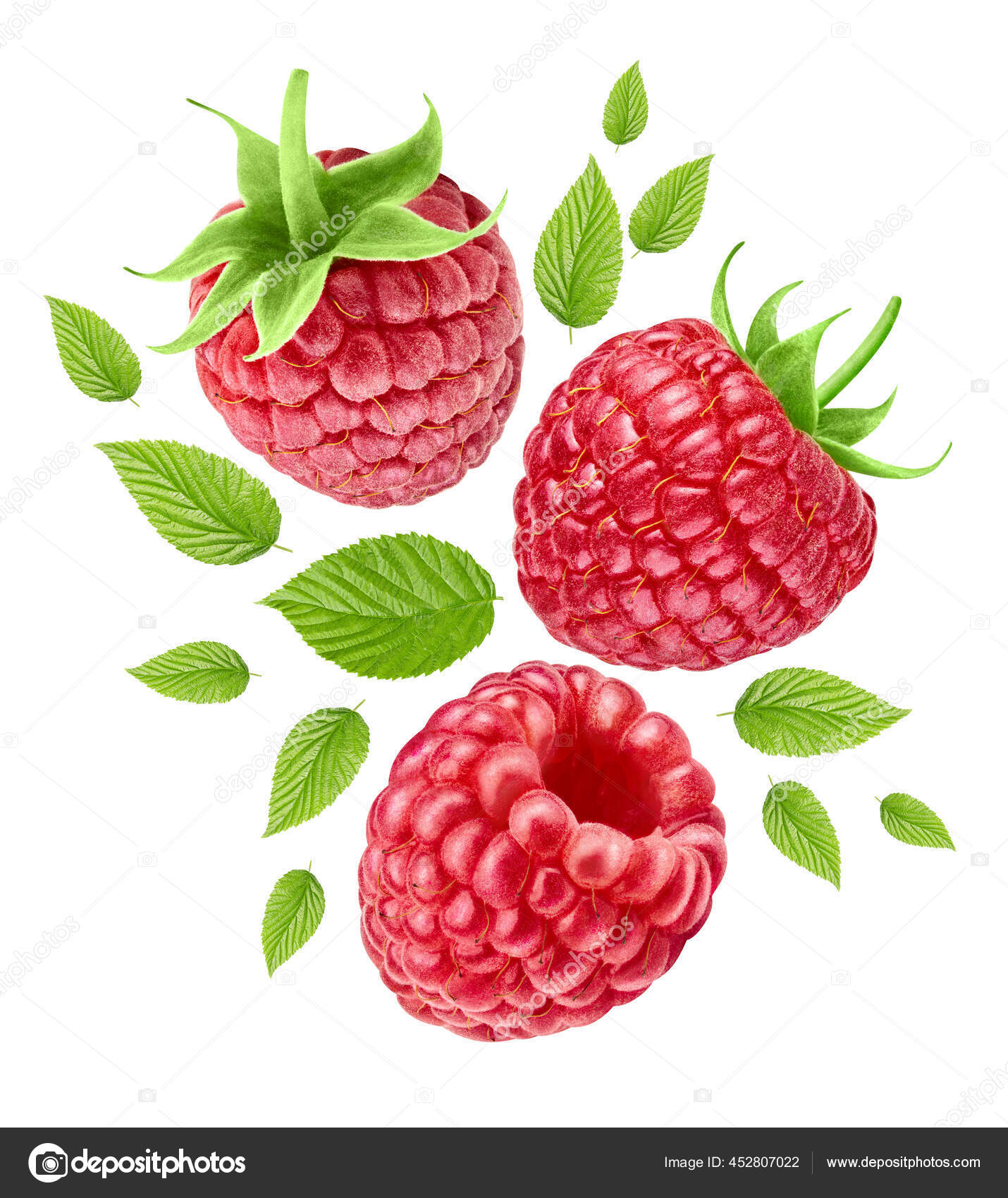 Flying Raspberri Green Leaves Isolated White Background Raspberry ...