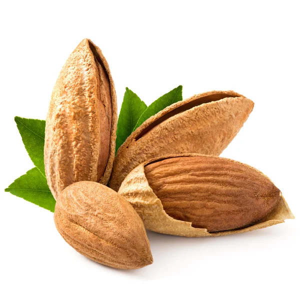 Almonds — Stock Photo © Maks_Narodenko #42780195
