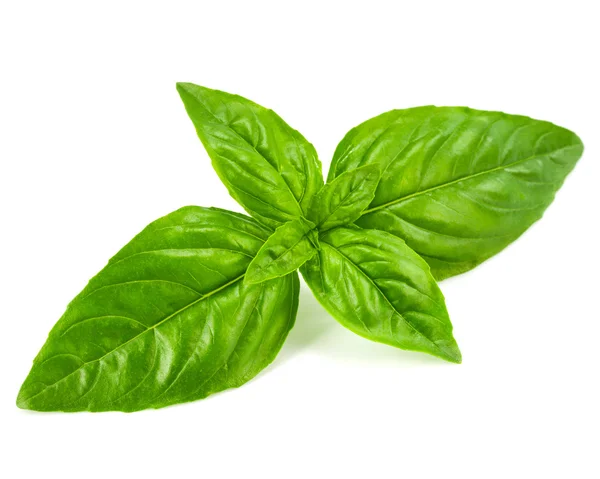 Basil Stock Photos, Royalty Free Basil Images | Depositphotos®