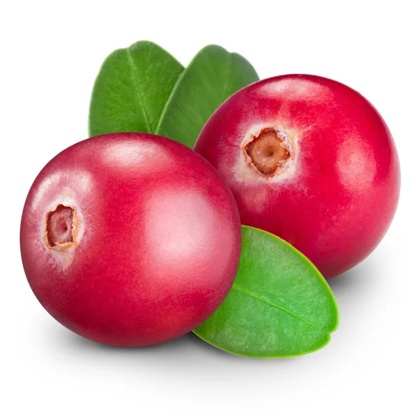 Cranberry Stock Photos, Royalty Free Cranberry Images | Depositphotos