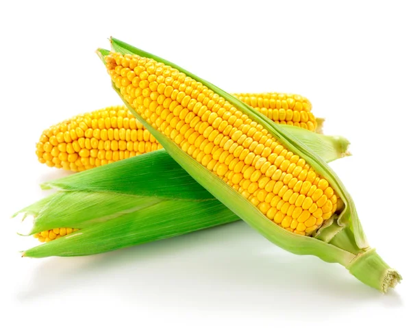 Corn — Stock Photo © Maks_Narodenko #25296471