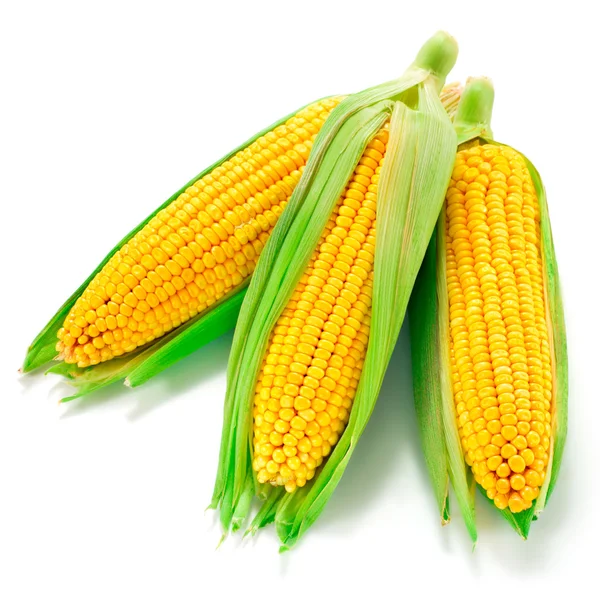 Corn — Stock Photo © Maks_Narodenko #25296491
