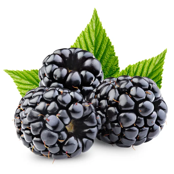 Blackberries — Stock Photo © photomaru #5799450