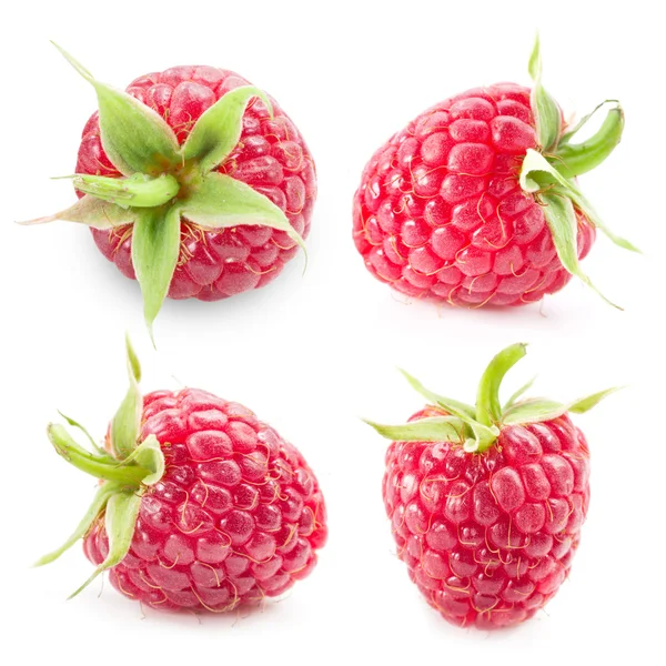 ᐈ Raspberries stock images, Royalty Free raspberries photos | download ...