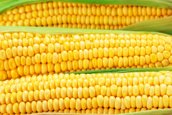 Corn — Stock Photo © Maks_Narodenko #75084947